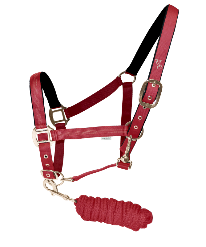 Licol avec longe poneys et chevaux Flags and Cup Estrella – En Selle ...