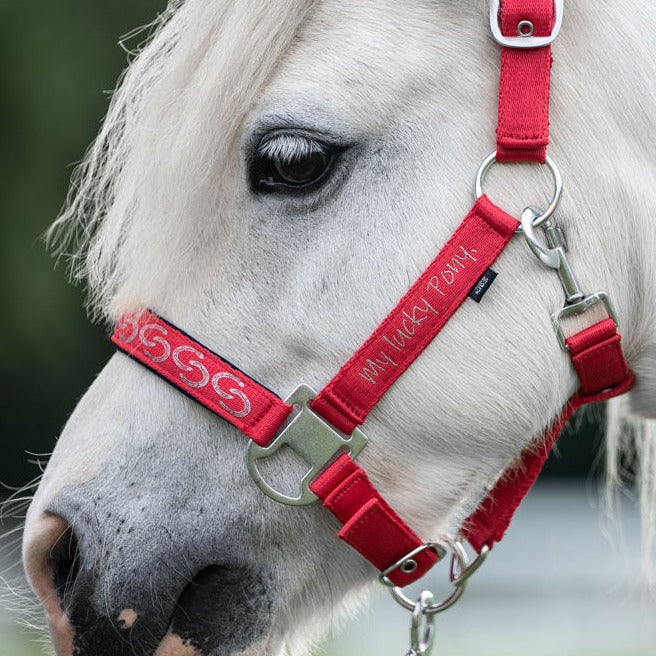 Licol pour minis, shetlands et poneys HKM Aymee – En Selle Prunelle