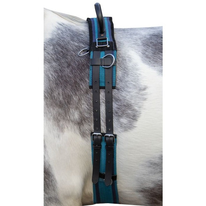 Charger l'image dans la galerie, Surfaix pour mini shetlands, shetlands ...